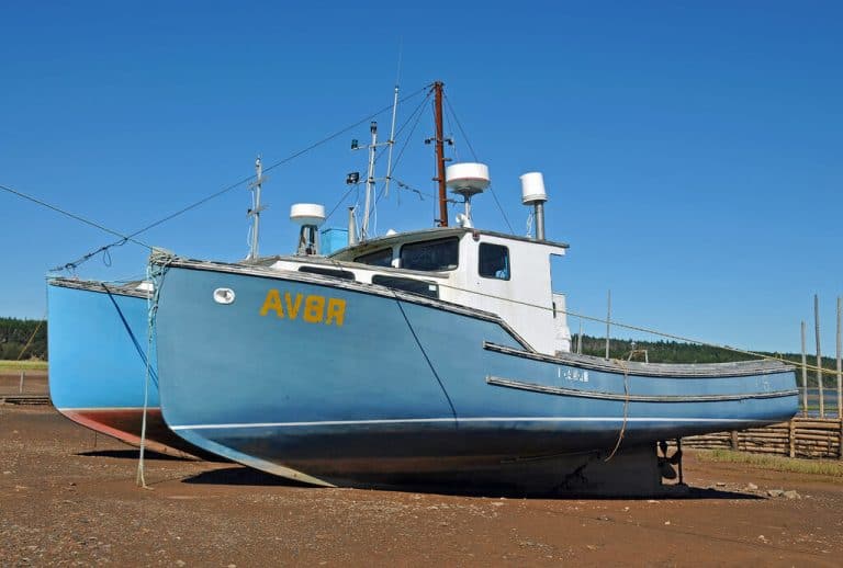 25 Different Types of Boats (With Photos)